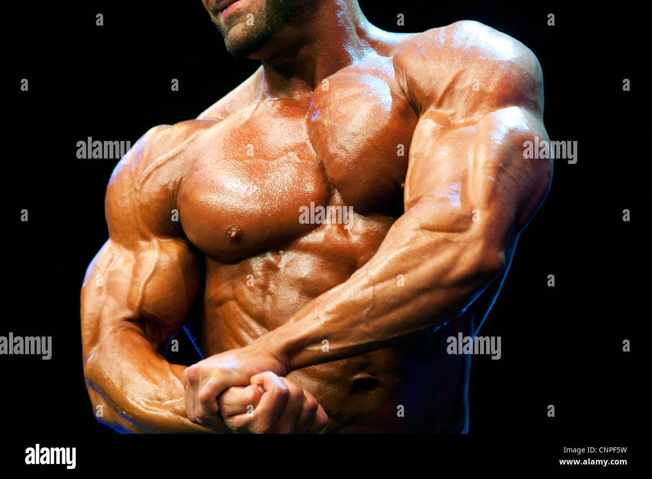 Detail of a male bodybuilder during the fitness fair FIBO in Essen ...