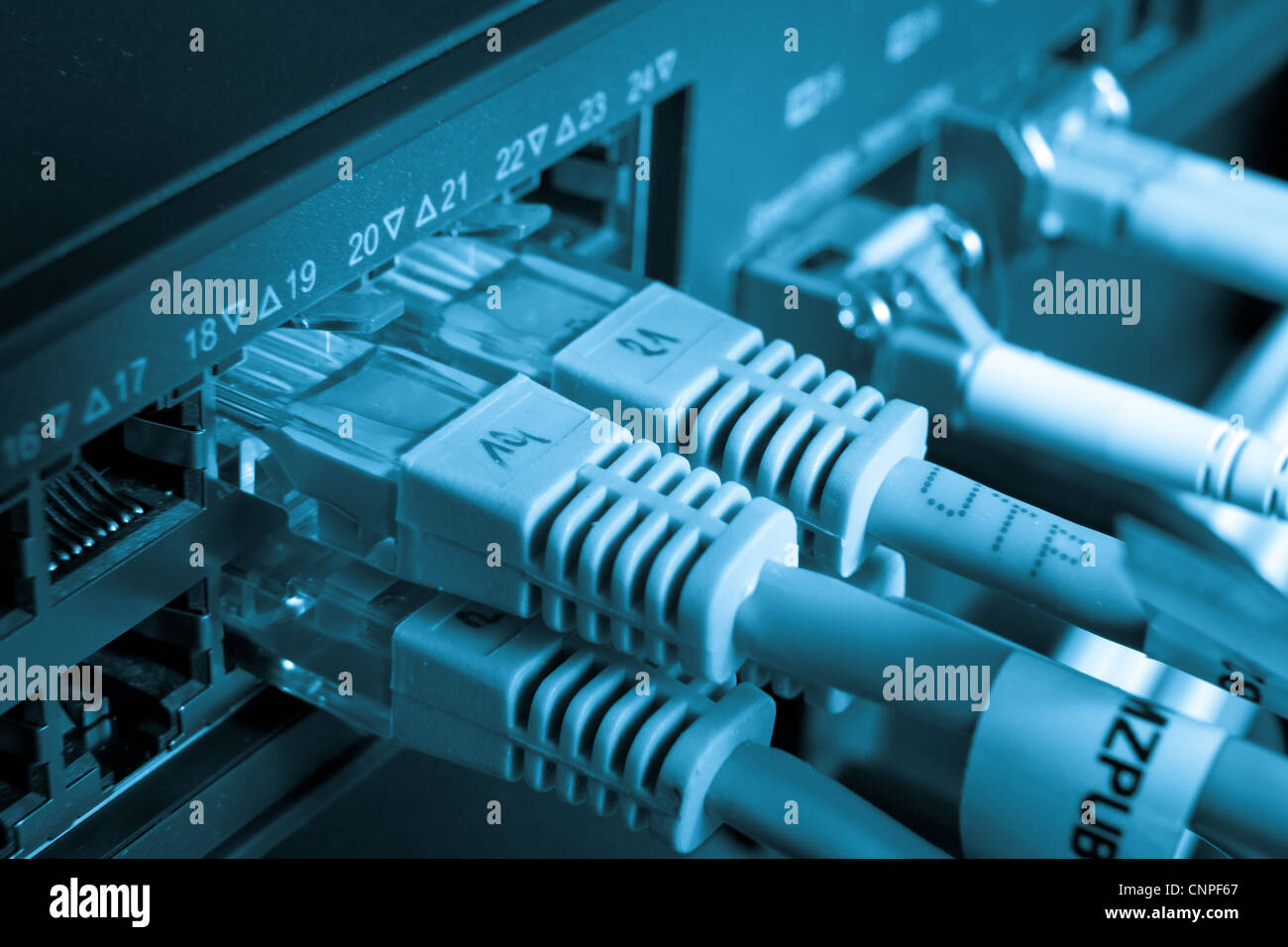network cables connected to hub Stock Photo - Alamy