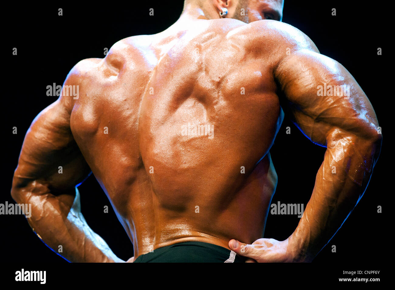 Detail of a male bodybuilder during the fitness fair FIBO in Essen ...