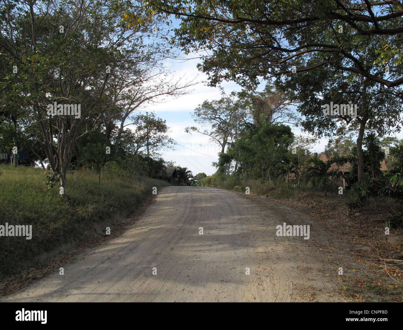 Deserted country road in Roatan, Honduras Stock Photo - Alamy