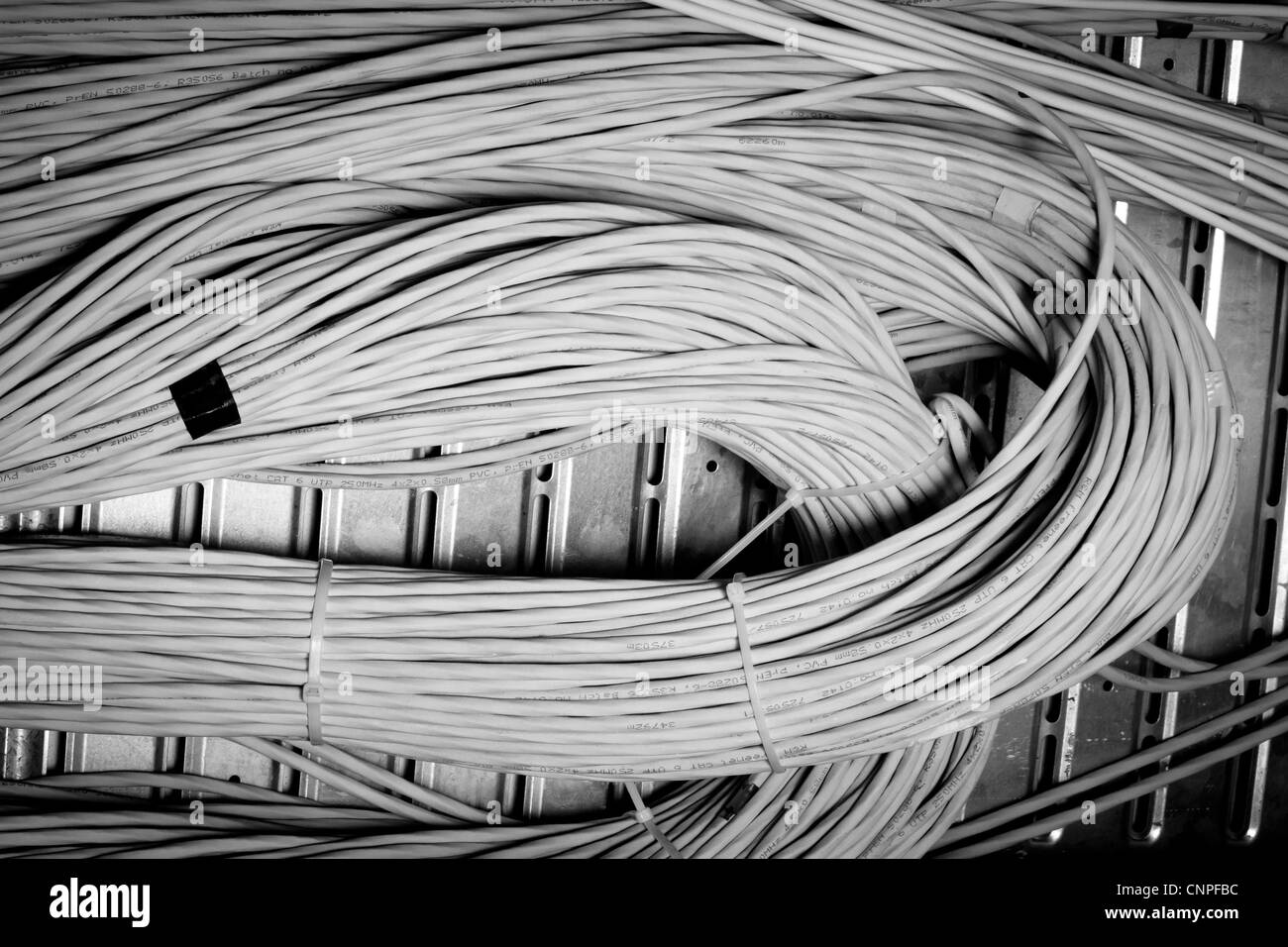 close up of network cables Stock Photo - Alamy