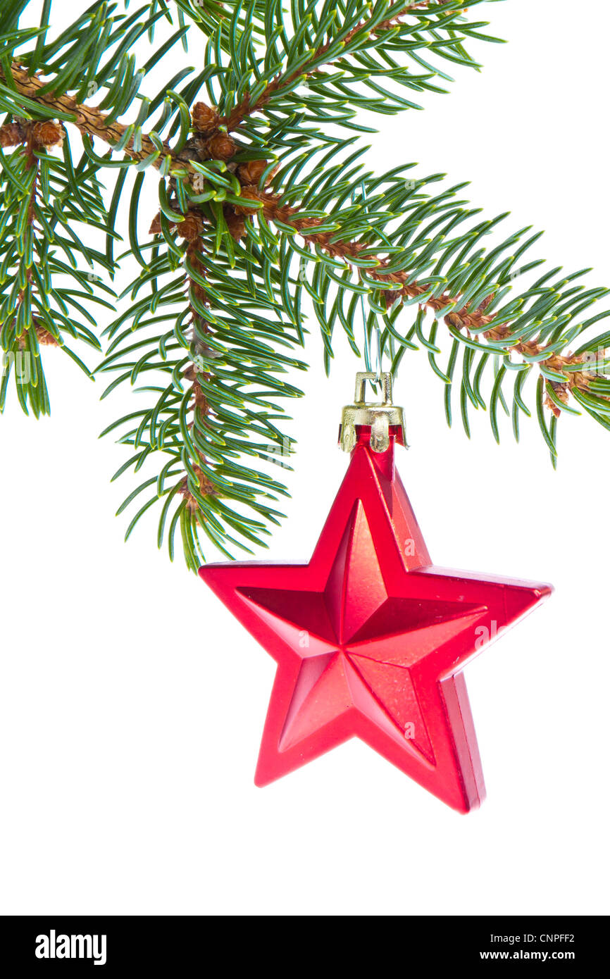 red christmas star hanging from tree isolated on white background Stock ...