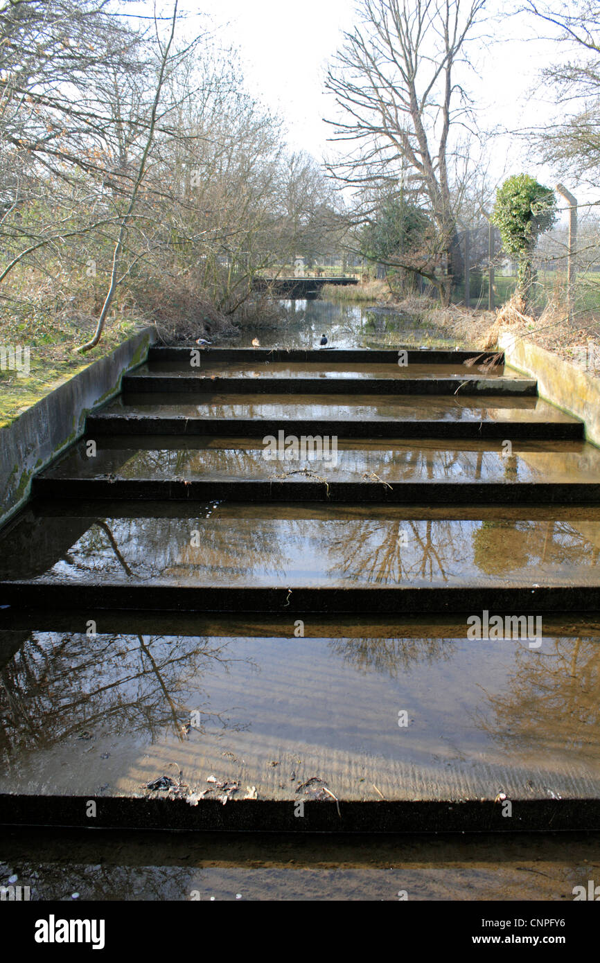 The Longford River in Bushy Park Middlesex SW London England UK Stock ...