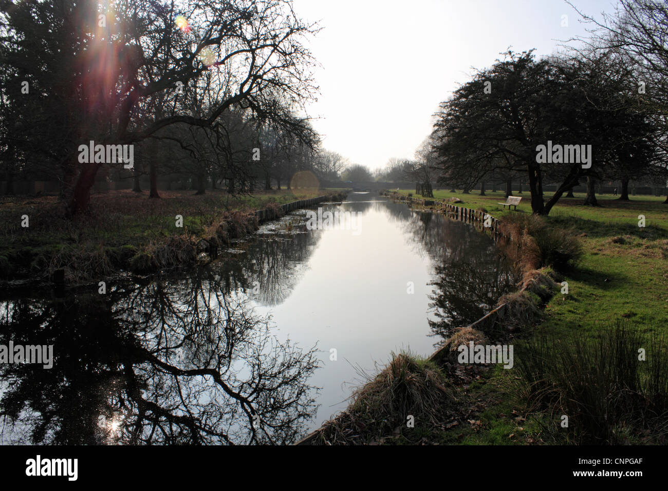 The Longford River, Bushy Park Middlesex SW London England UK Stock ...
