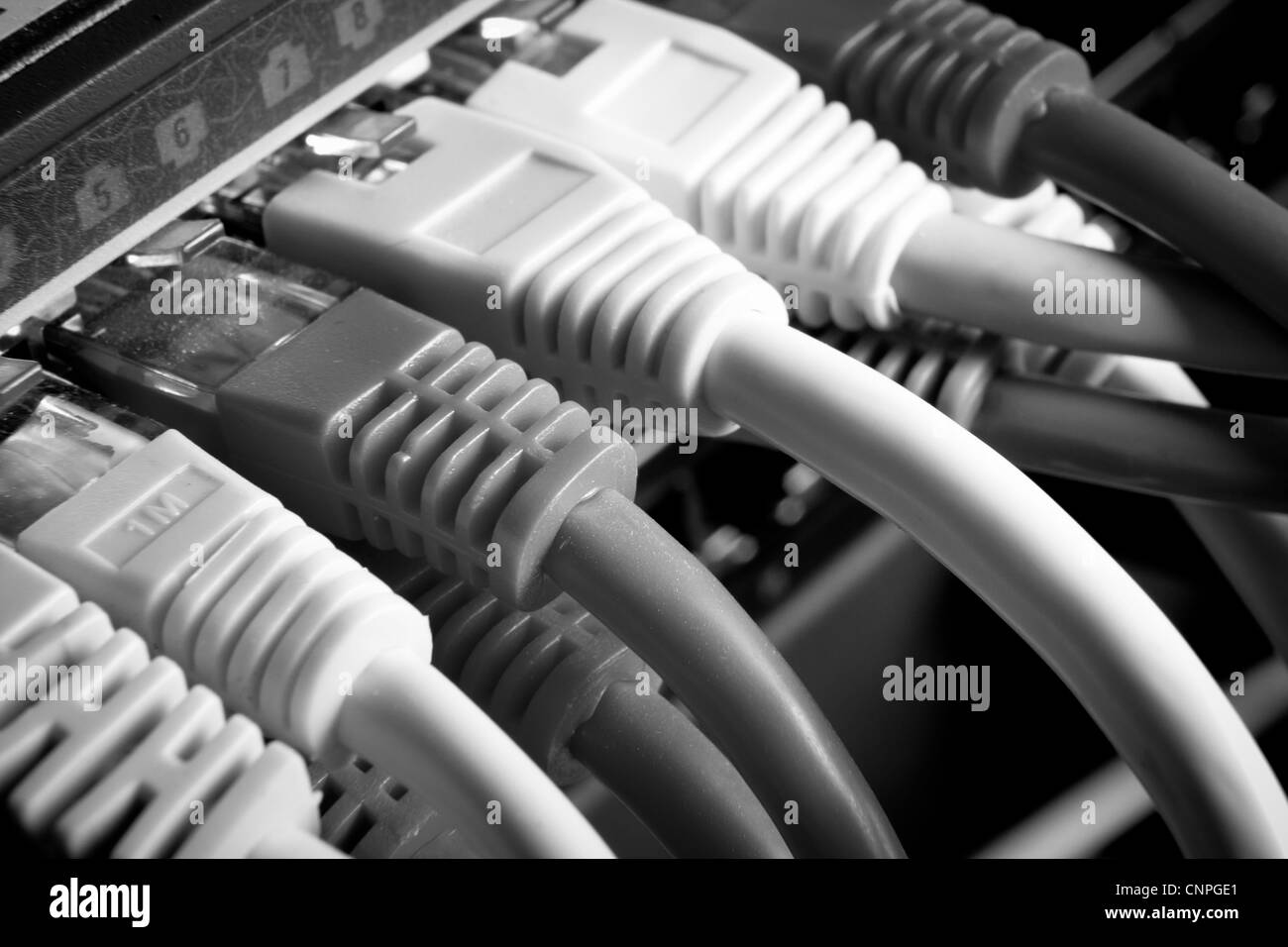 Network switch ethernet cables Black and White Stock Photos & Images ...
