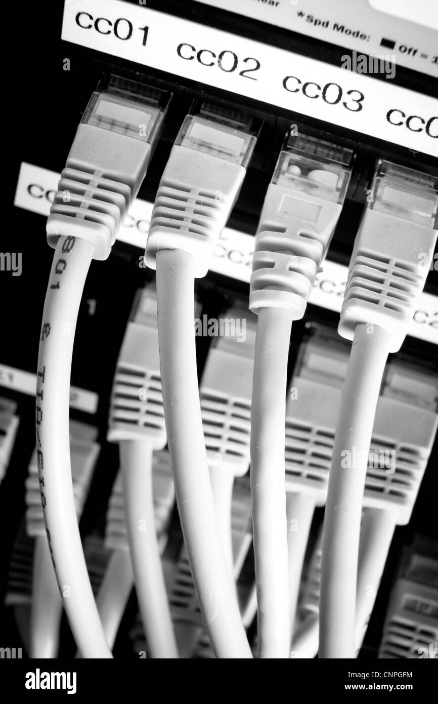 close up of network cables connected to switch Stock Photo - Alamy