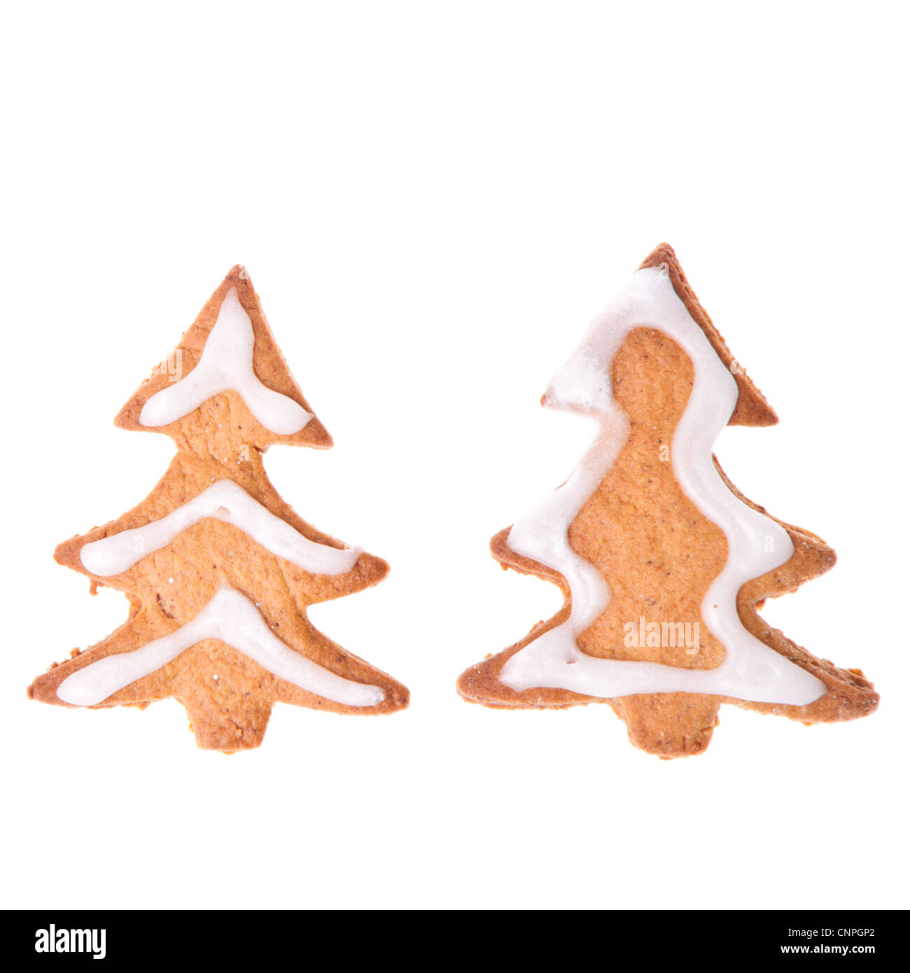 ginger trees isolated on white background Stock Photo - Alamy