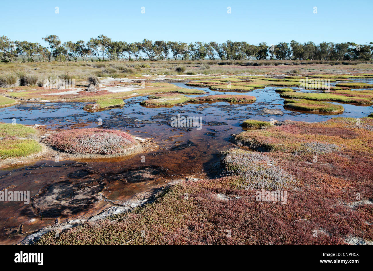 Langebaan Lagoon, West Coast National Park, Western Cape, South Africa ...