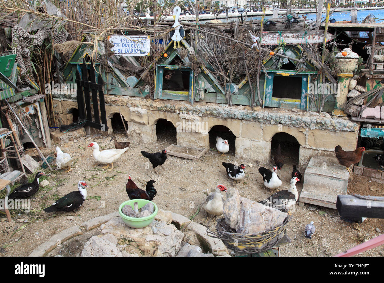 The ducks village Manoel Island, Malta, Europe Stock Photo - Alamy