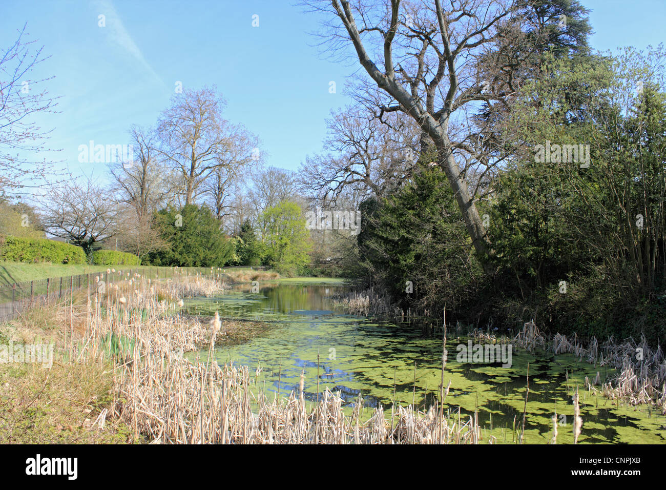 Reigate castle grounds Surrey England UK Stock Photo - Alamy