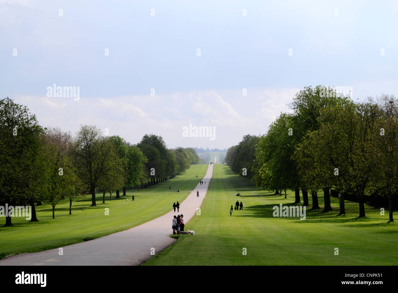 Windsor castle from long walk hi-res stock photography and images - Alamy