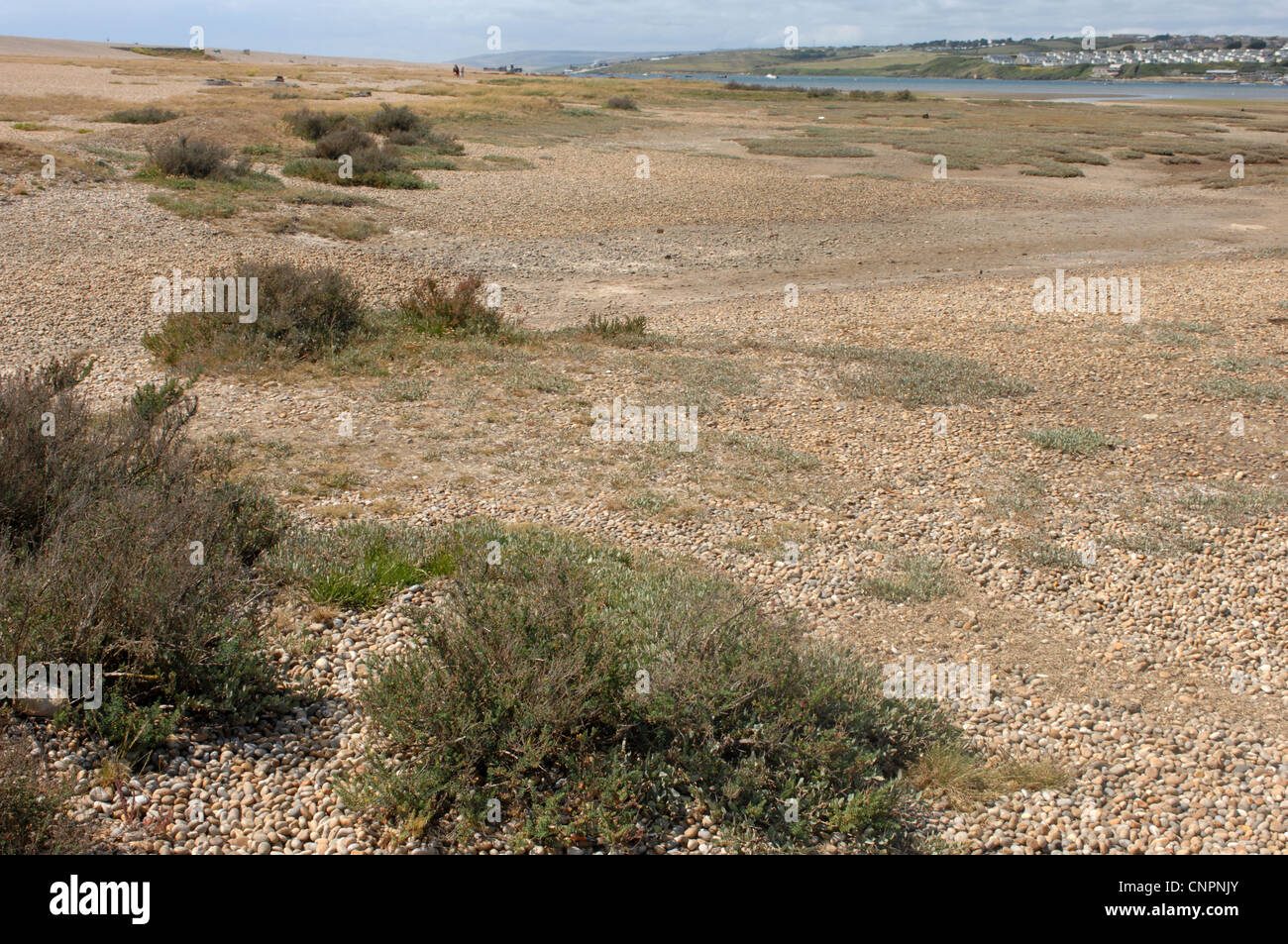 Chesil rocks hi-res stock photography and images - Alamy