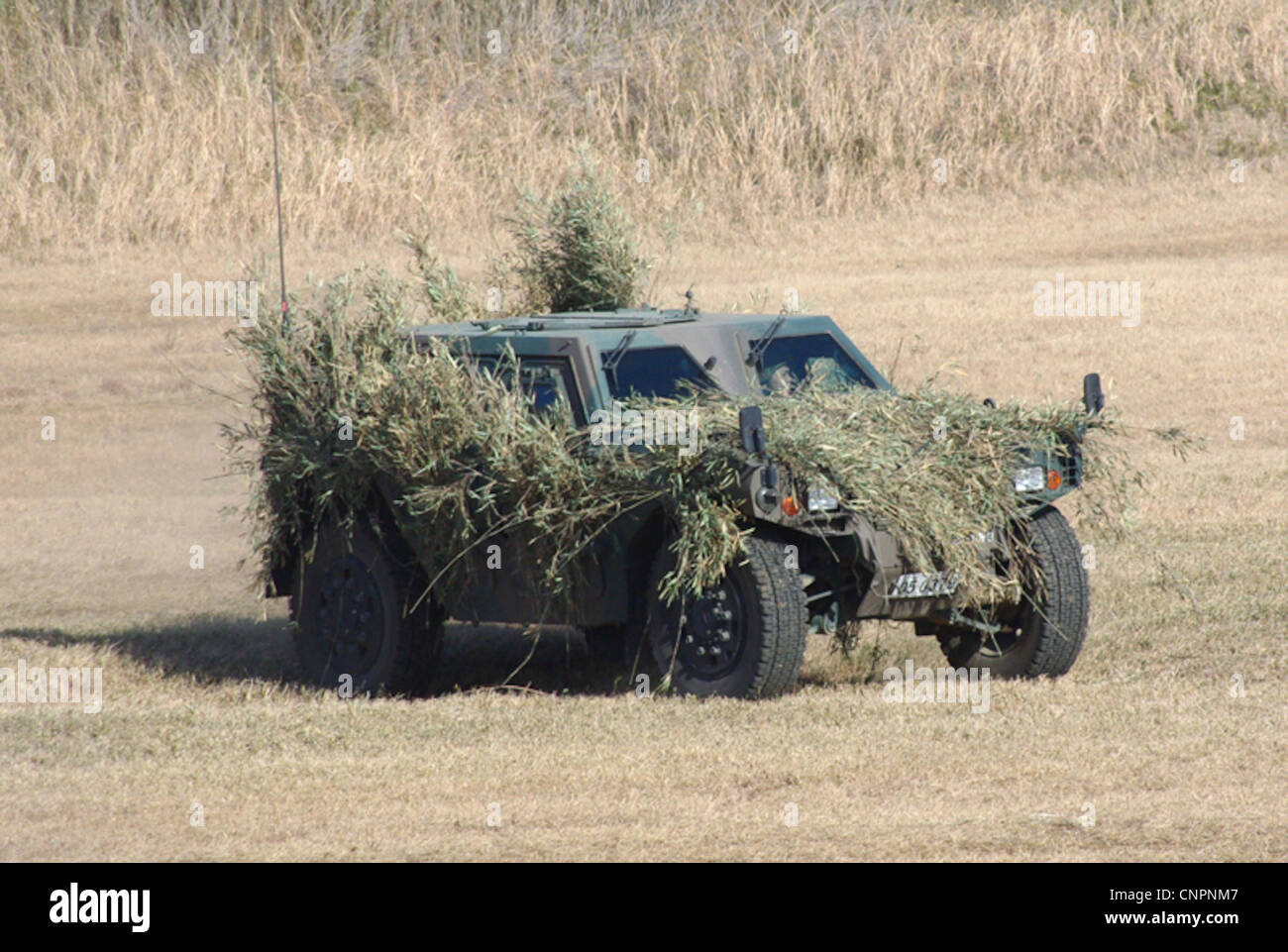JGSDF Light Armored vehicle Stock Photo - Alamy