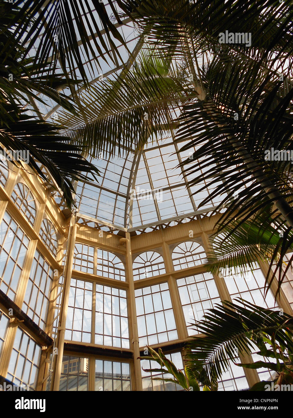 Inside of the conservatory in druid hill park hi-res stock photography ...
