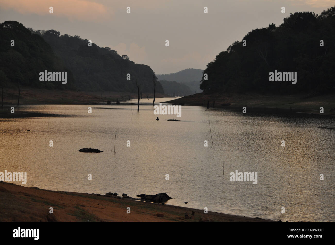 Mullaperiyar hi-res stock photography and images - Alamy