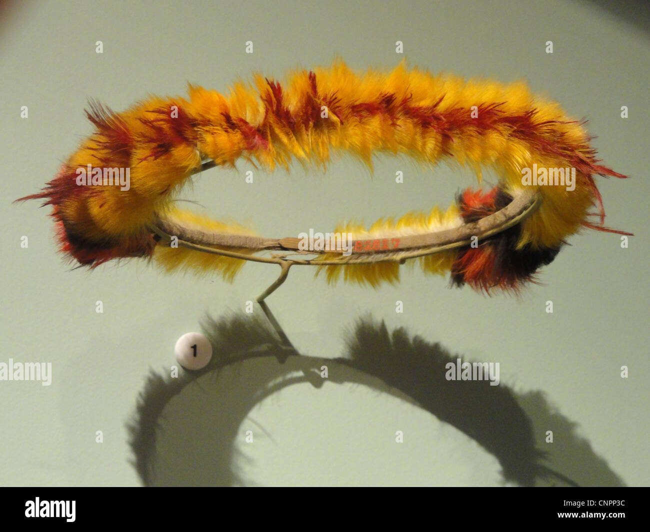 This colorful headdress is worn by the Wai-wai people of South America ...