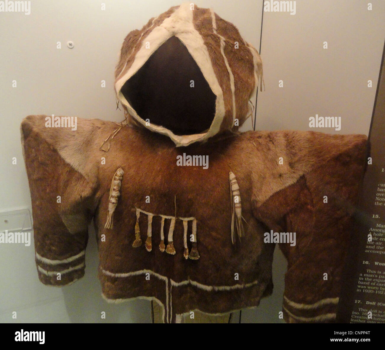 Collected in 1920 1921 native american collection peabody museum hi-res ...