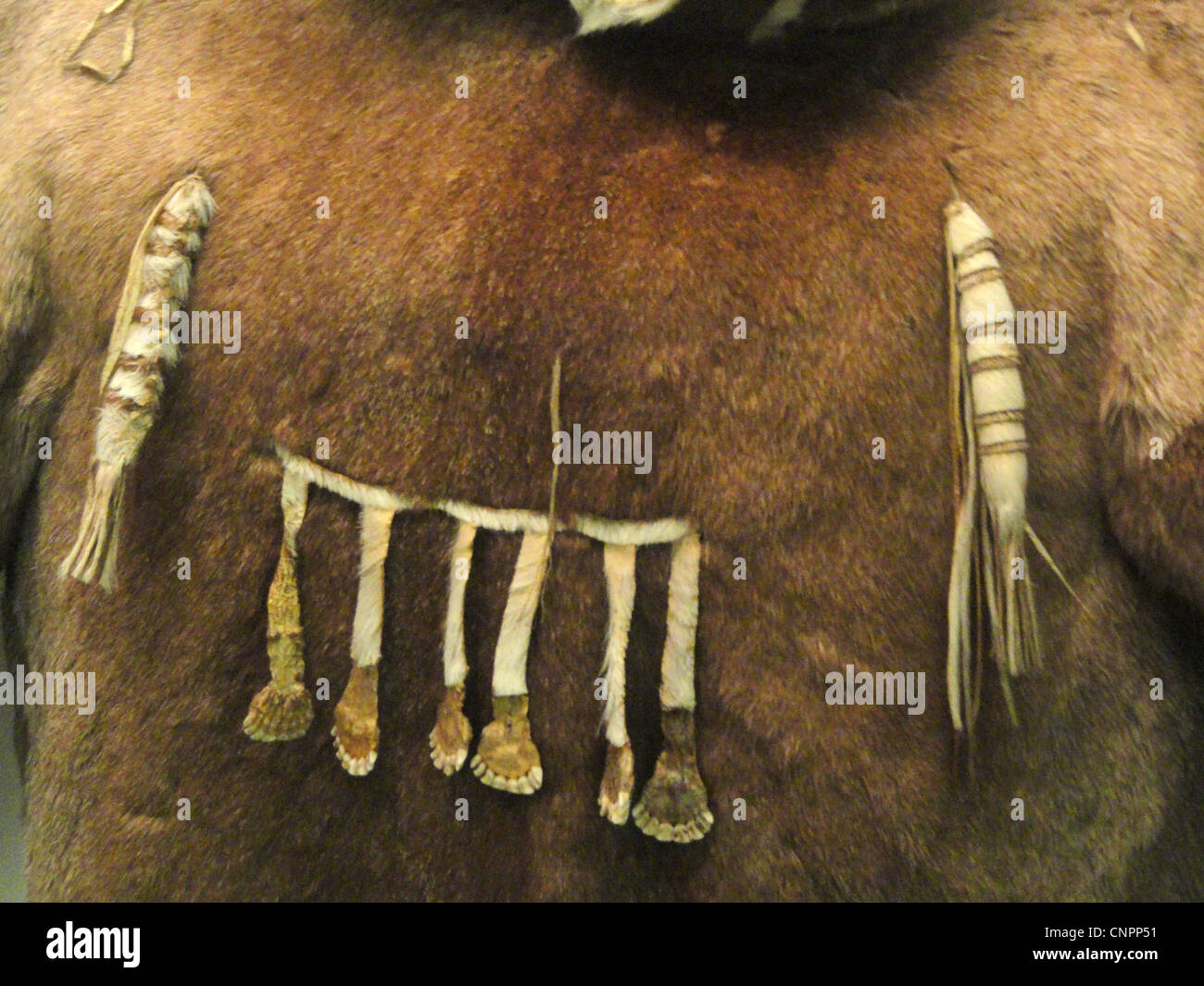 Copper eskimo hi-res stock photography and images - Alamy