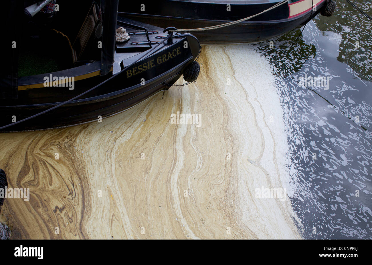 Smell somerset hi-res stock photography and images - Alamy