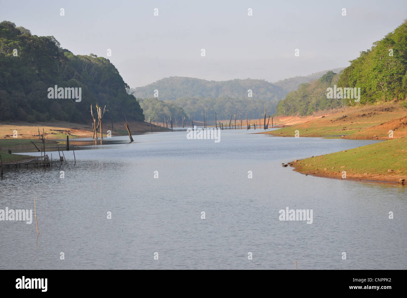 The thekkady wild life sanctuary, kerala Stock Photo - Alamy