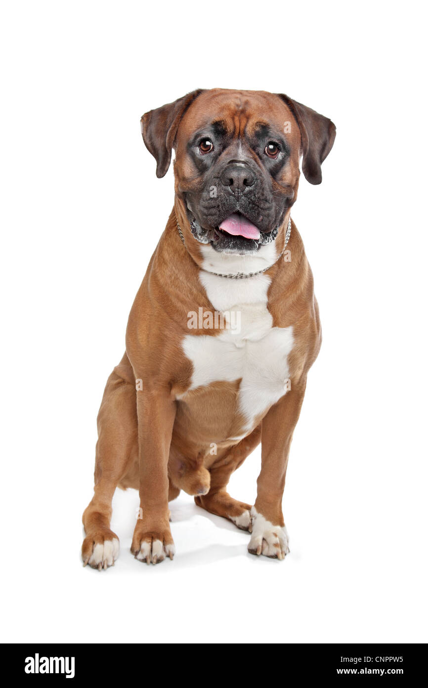 Wrinkely hi-res stock photography and images - Alamy