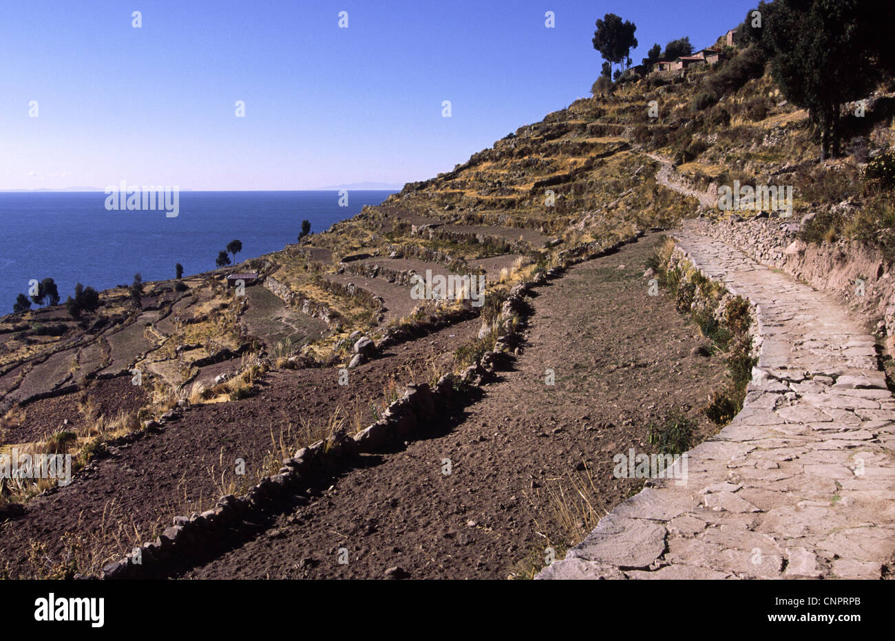 Agricultural terraces and walking path on Taquile Island. Lake Titicaca ...