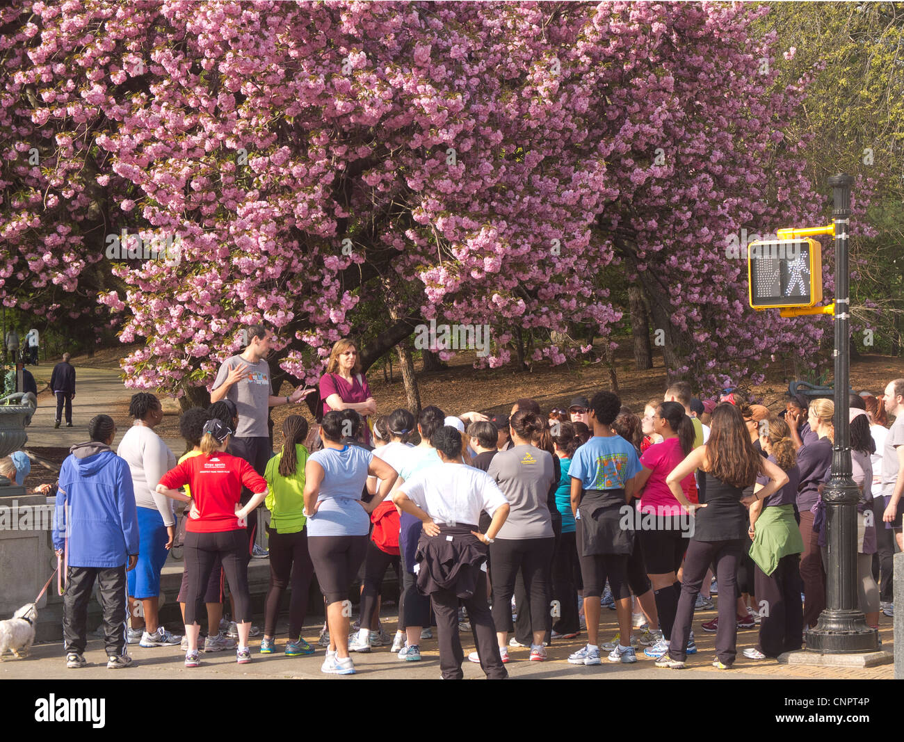 Prospect park entrance group runners running meeting crowd listening walkers hi-res stock ...
