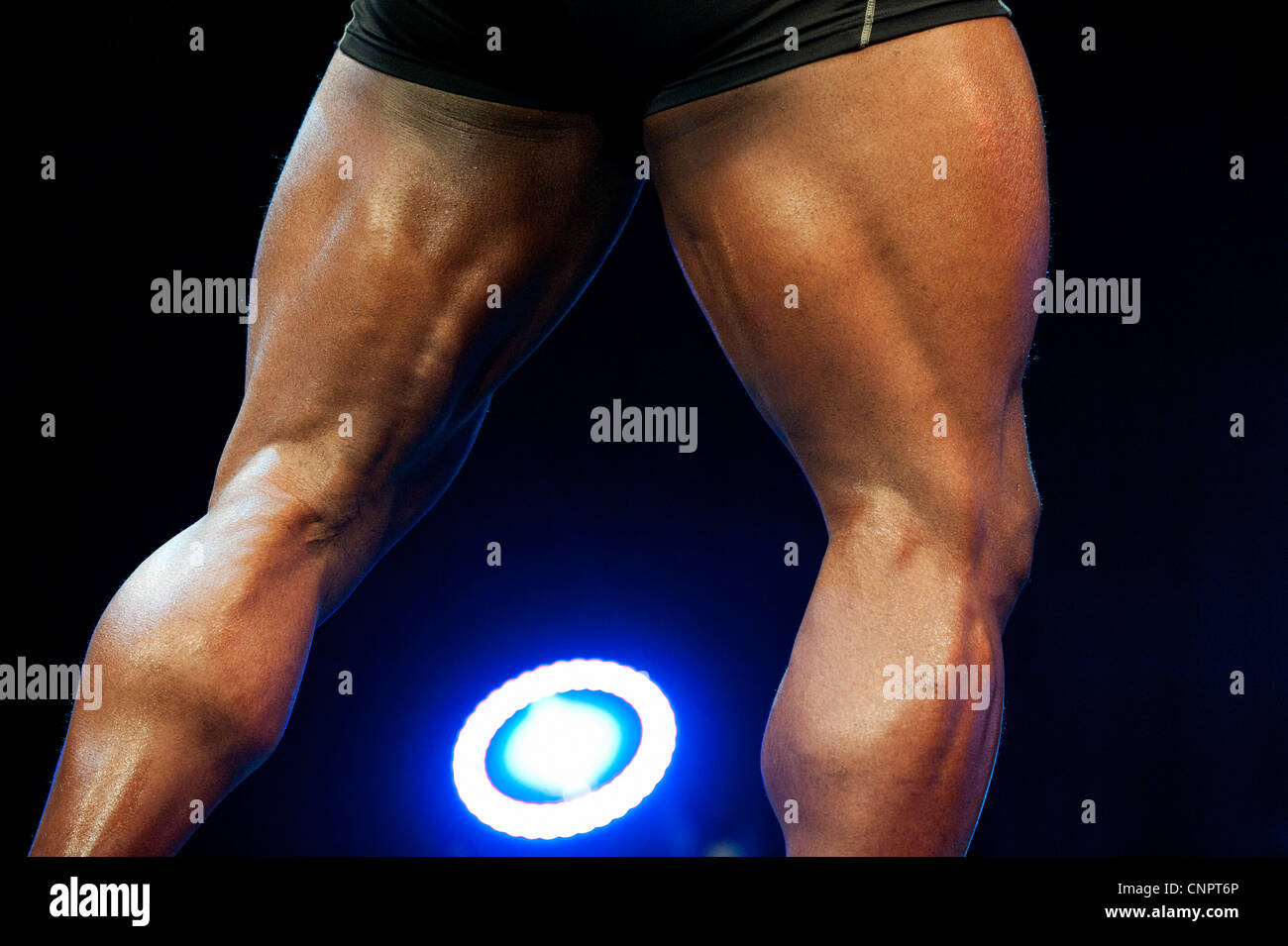 Detail of a male bodybuilder during the fitness fair FIBO in Essen ...