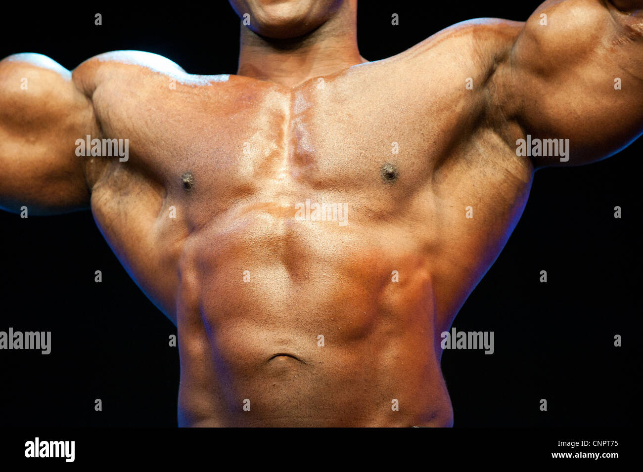Detail of a male bodybuilder during the fitness fair FIBO in Essen ...
