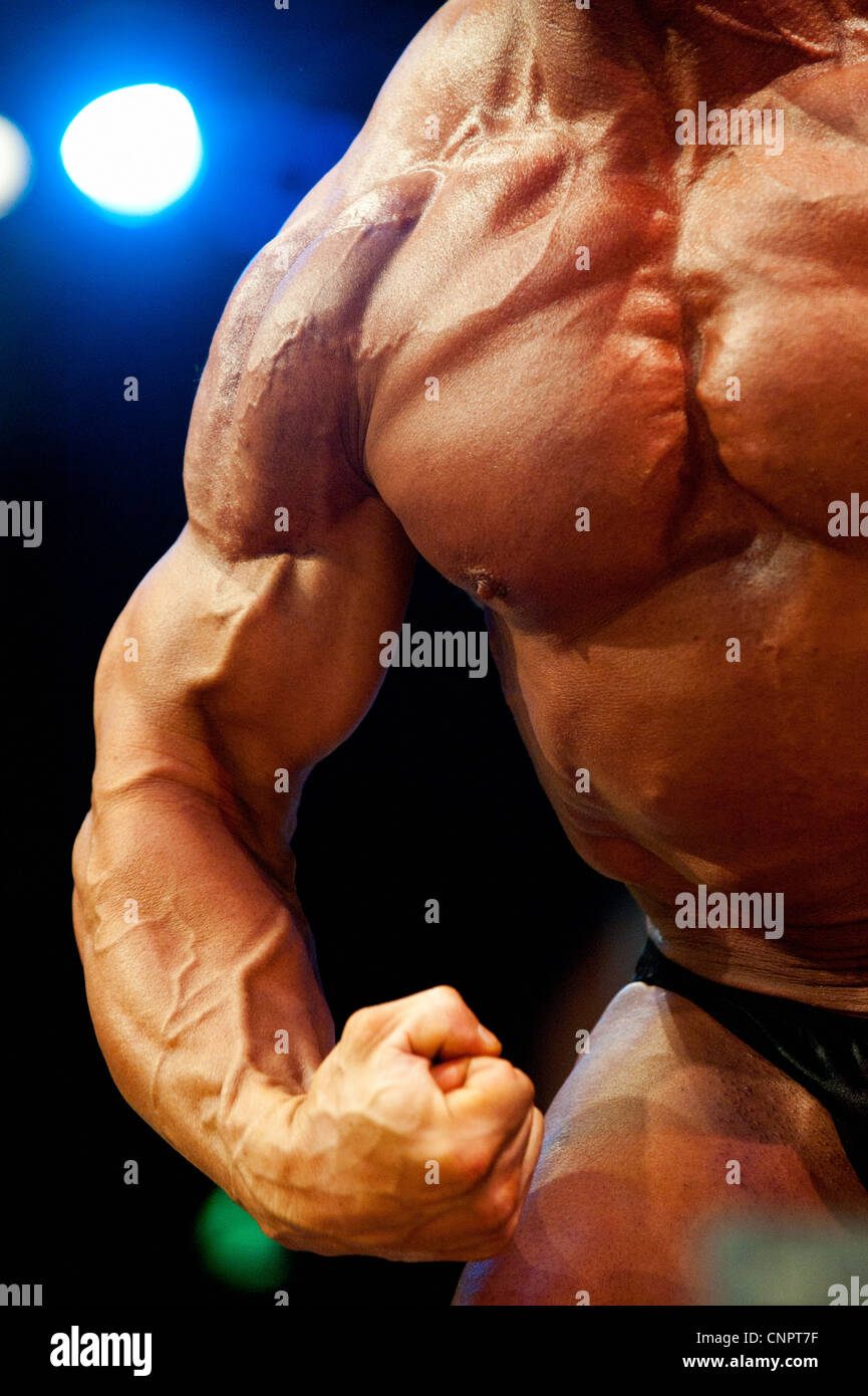 Bodybuilder bodybuilding show fibo power hi-res stock photography and ...