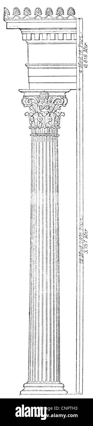 Corinthian column drawing hi-res stock photography and images - Alamy