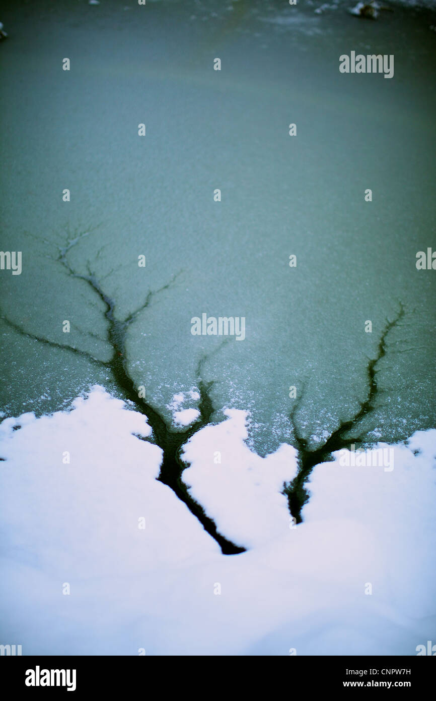 Kent snow ice frozen storm tree Stock Photo - Alamy