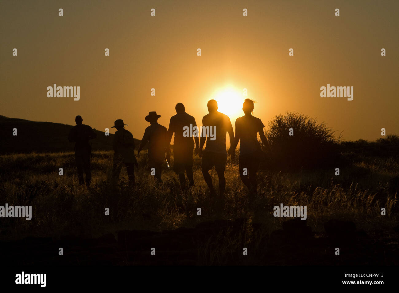Through the namibian bush hi-res stock photography and images - Alamy