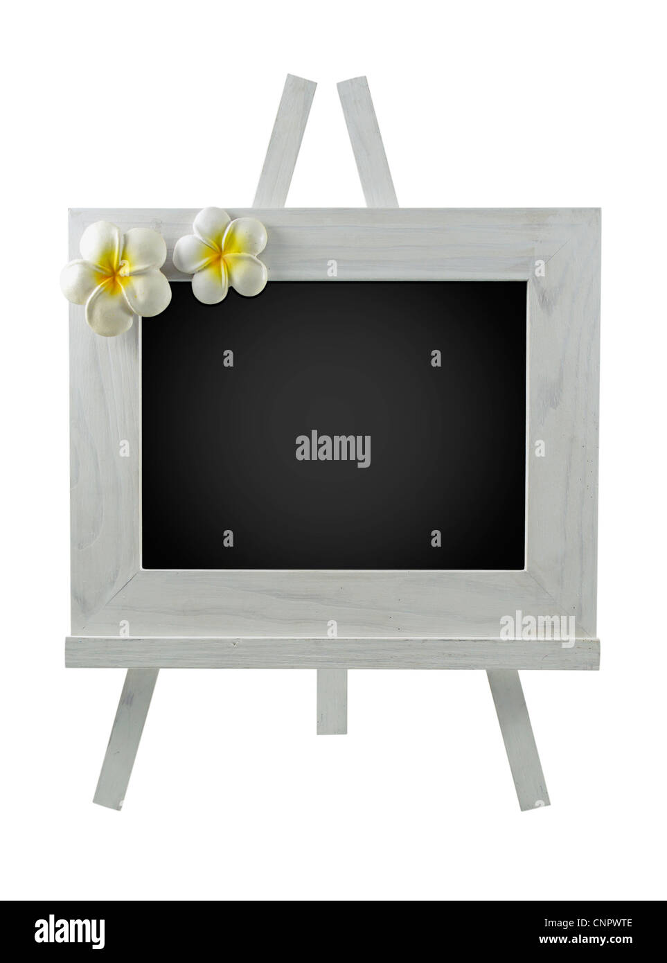 White background wood support Cut Out Stock Images & Pictures - Alamy