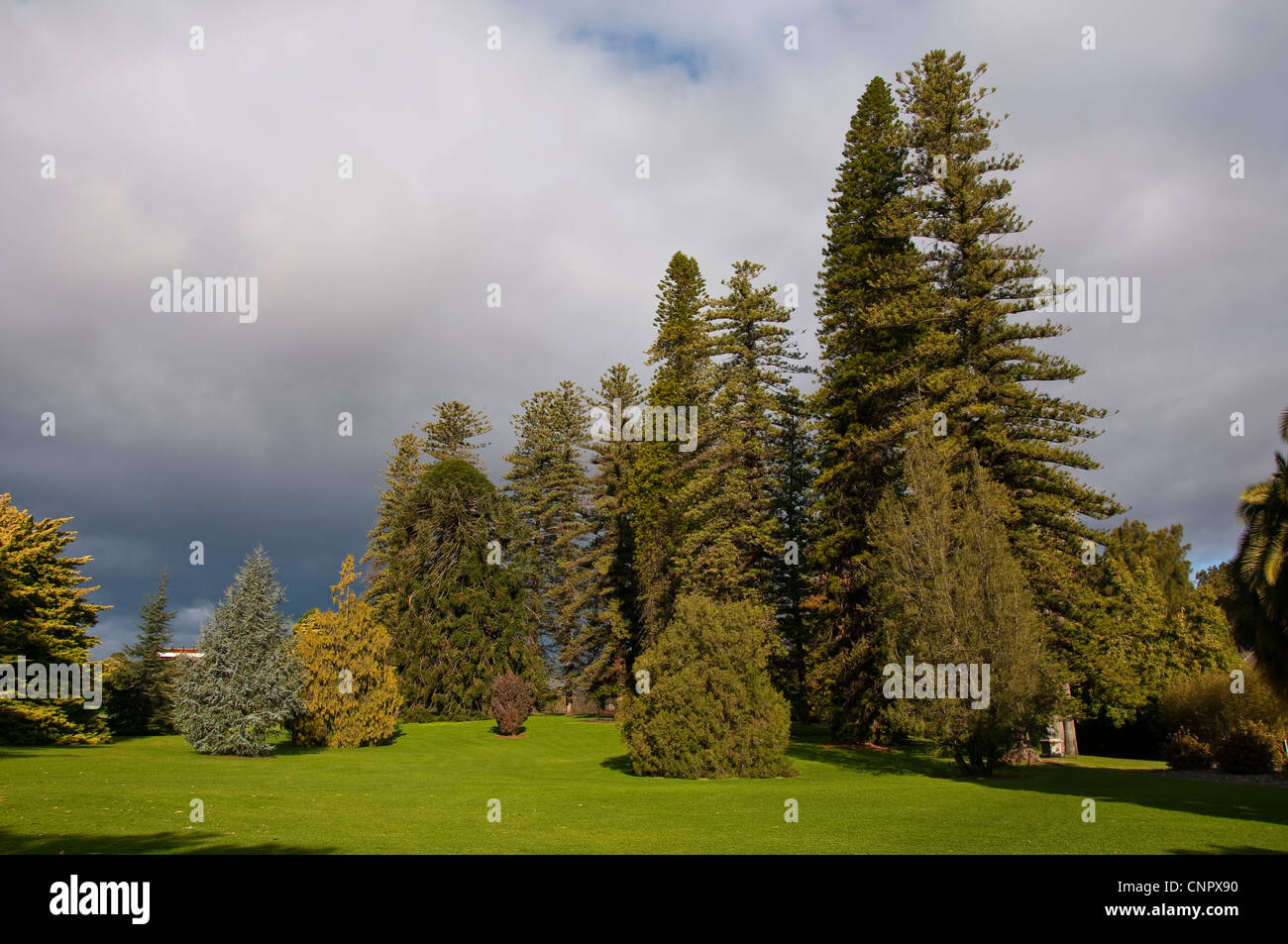Adelaide botanic garden hi-res stock photography and images - Alamy