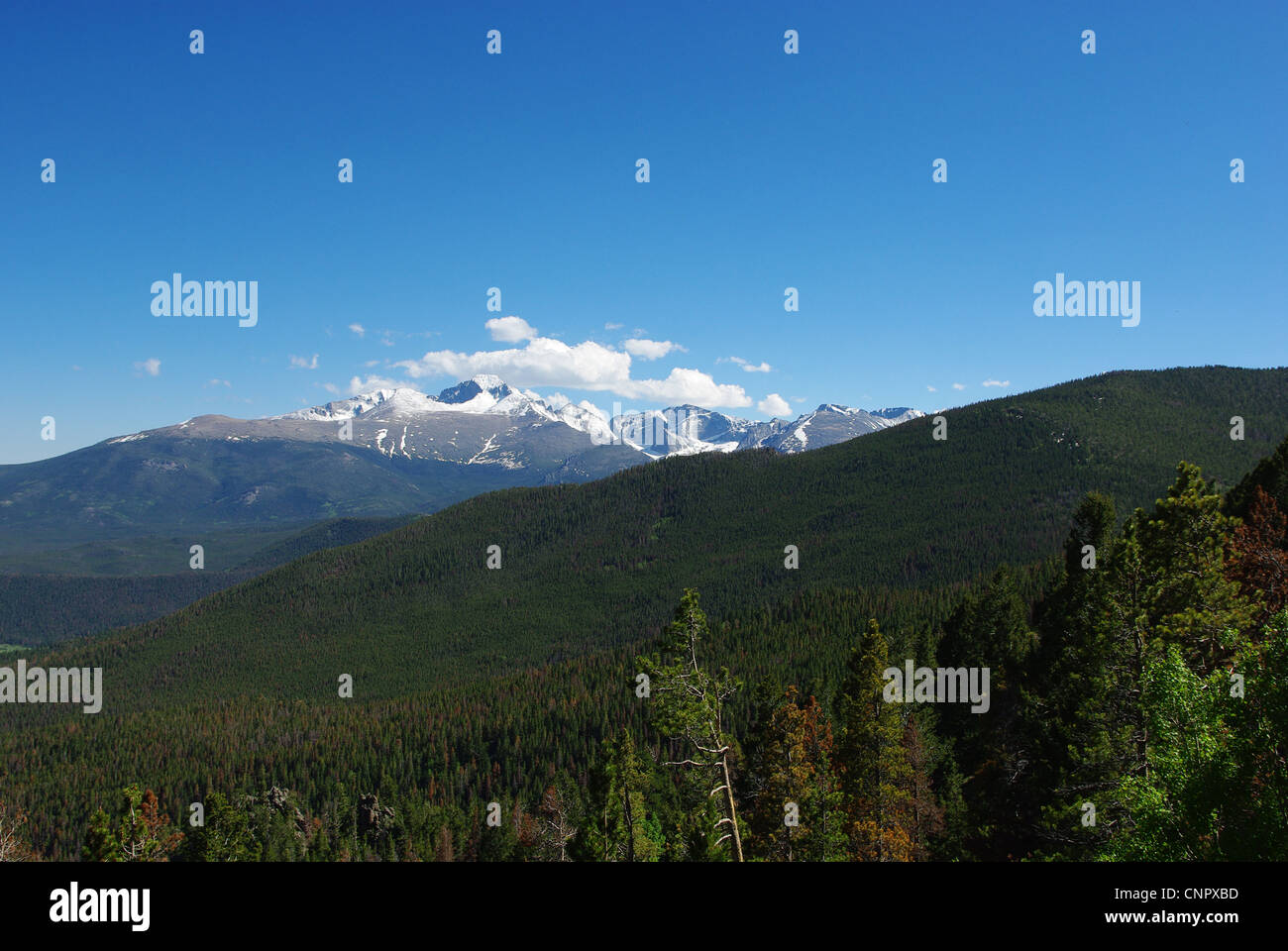 Forests and high Rockies, Colorado Stock Photo - Alamy