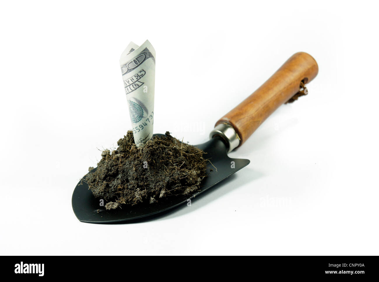 Finance flower Cut Out Stock Images & Pictures - Alamy