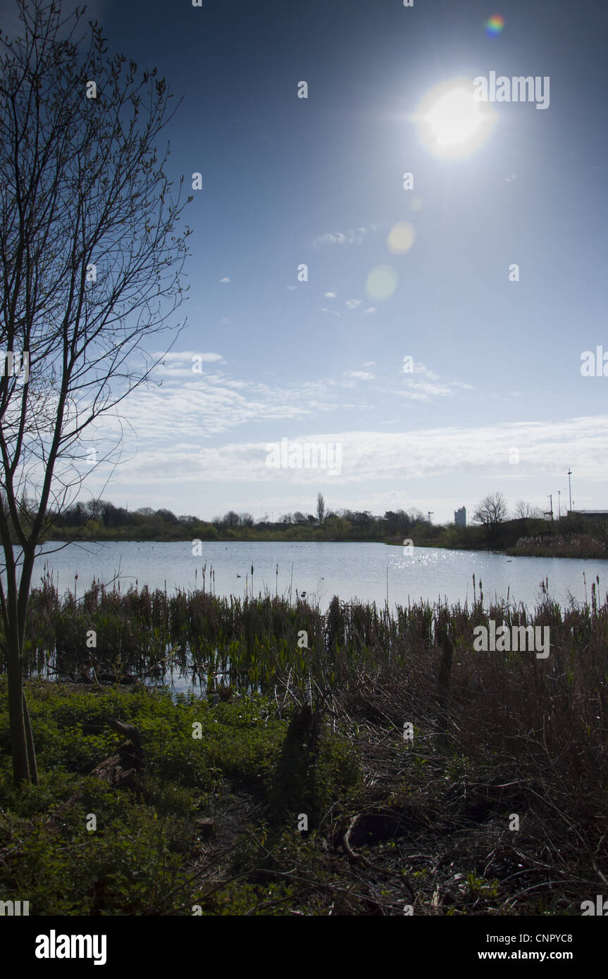 Ham lake hi-res stock photography and images - Alamy