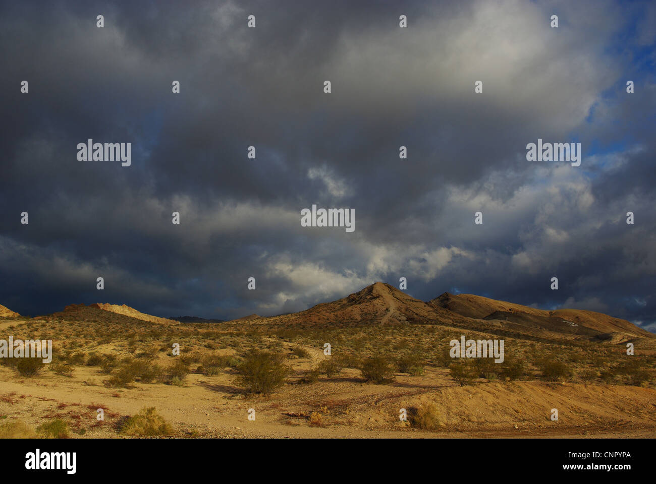 Sun light and desert hi-res stock photography and images - Alamy