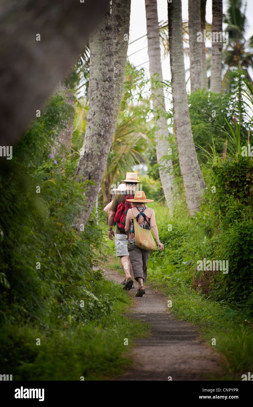 Group tourists walk along path hi-res stock photography and images - Alamy