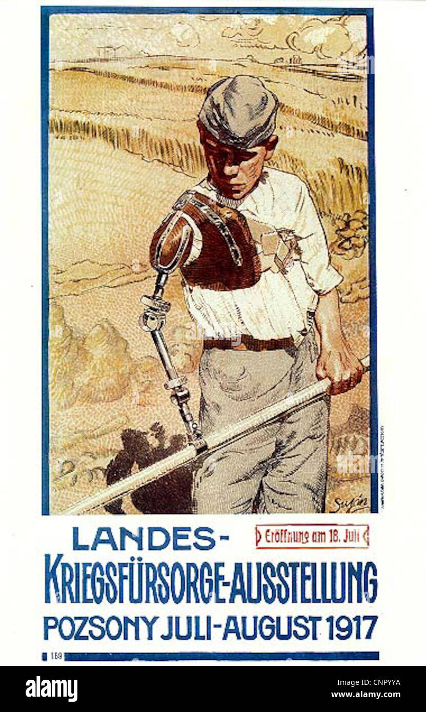 This collection of World War II propaganda posters highlights the key ...