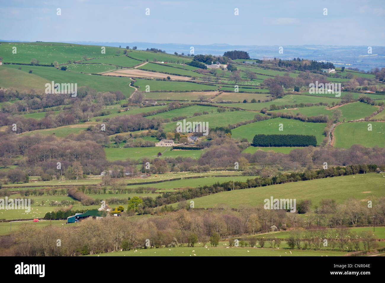 View of Radnorshire hill farms from The Begwns near Hay on Wye Powys ...
