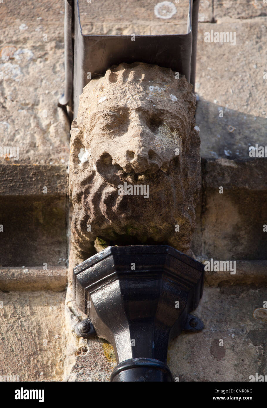 Gargoyle Rain Spout on exterior St Johns Church Devizes Stock Photo - Alamy