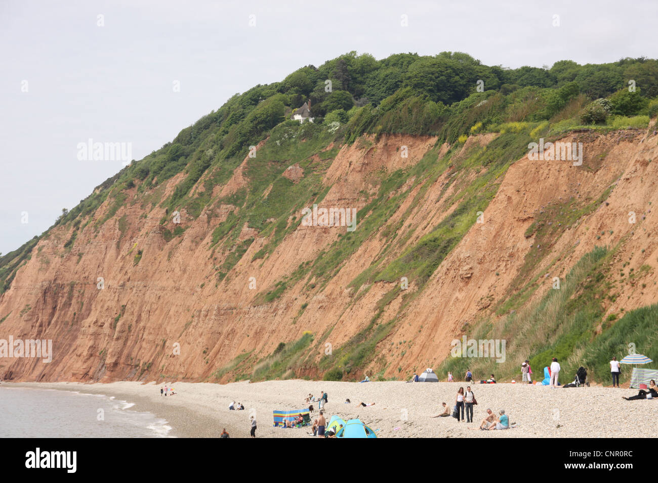 Devon houses hi-res stock photography and images - Alamy