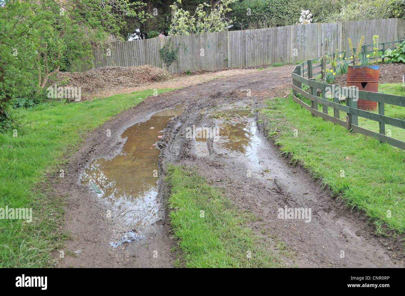 Muddy path after rain Stock Photo - Alamy