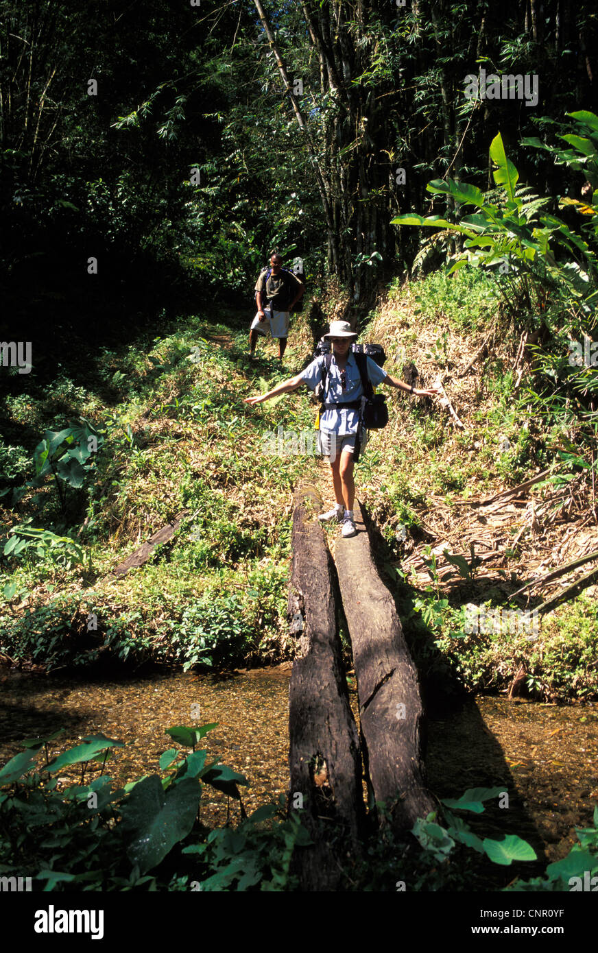 Woman crosses log over stream in forest hi-res stock photography and ...