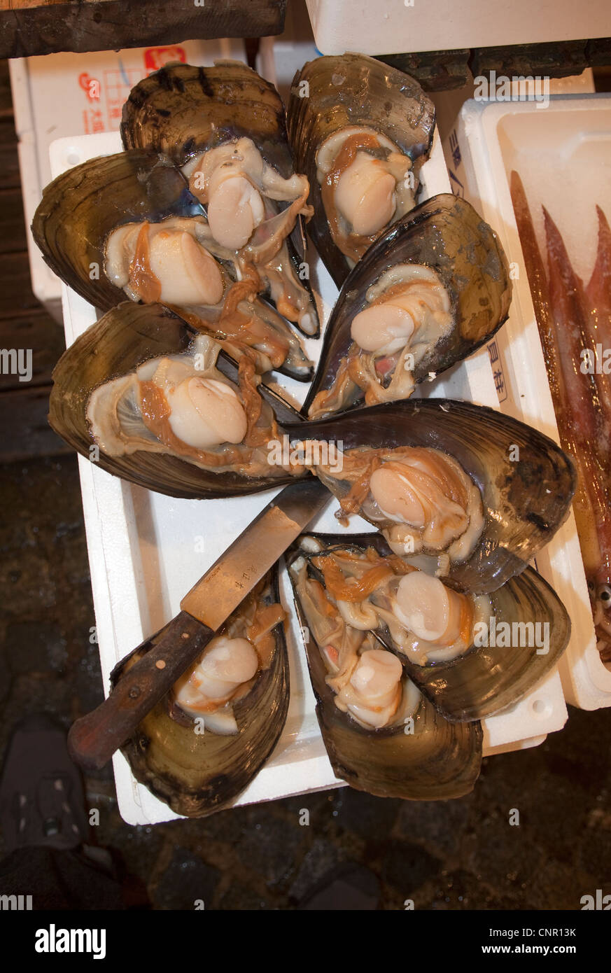 Tsukiji wholesale seafood and fish market hi-res stock photography and ...