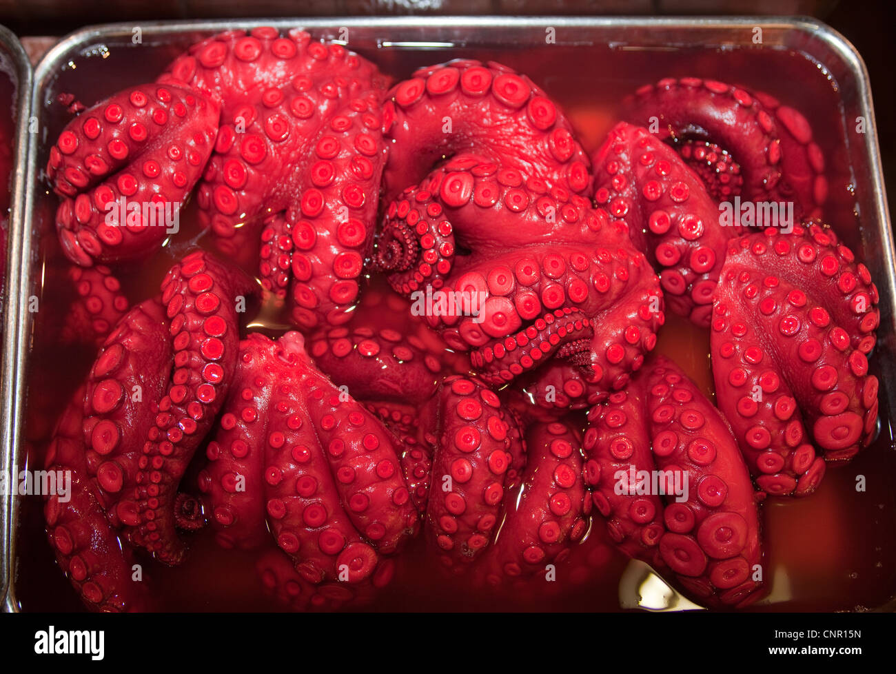 Octopus seafood market japan hi-res stock photography and images - Alamy