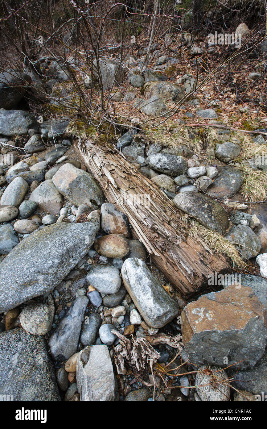 19th century logging hi-res stock photography and images - Alamy