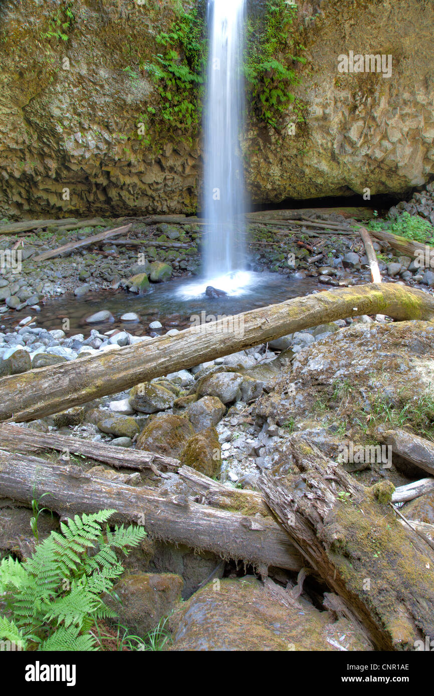 Columbia river gorge middle oneonta falls united of america hi-res ...
